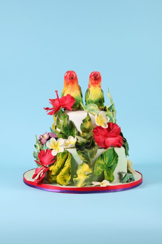 Novelty Wedding Cakes | Cakes by Robin