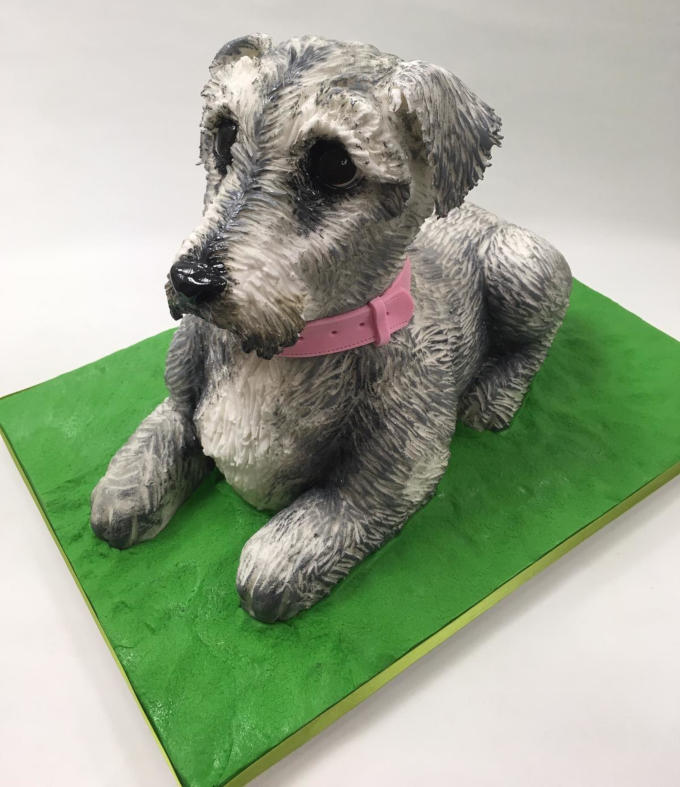 Animal Birthday Cakes | Cakes by Robin
