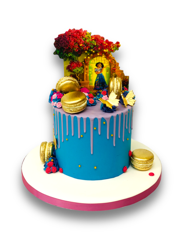Encanto Birthday Cake | Cakes By Robin