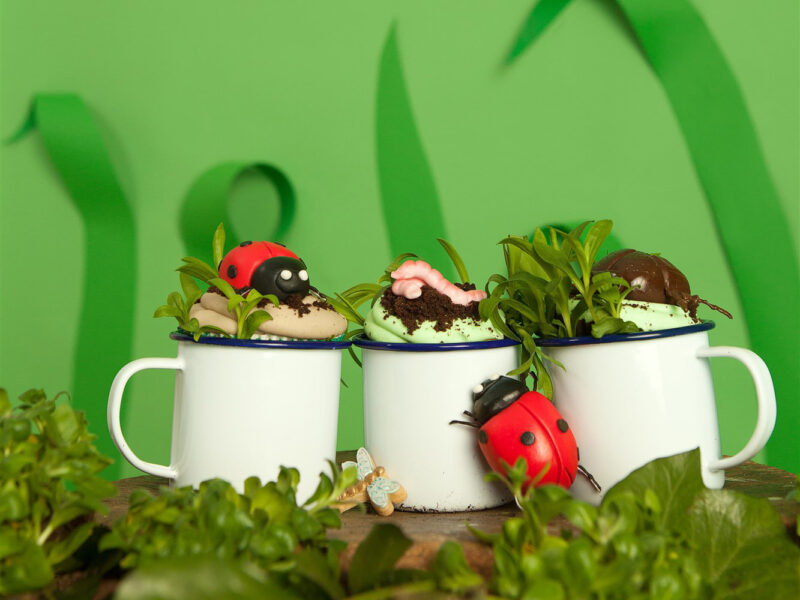 Insect Themed Party Inspiration | Cakes by Robin